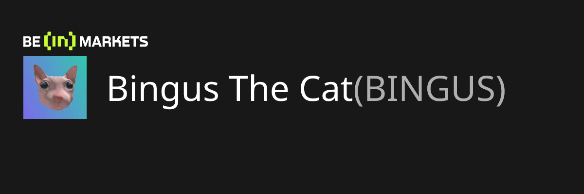 Bingus The Cat (BINGUS) 가격, 마켓캡, 차트 및 펜더멘털 정보 - BeinCrypto Korea