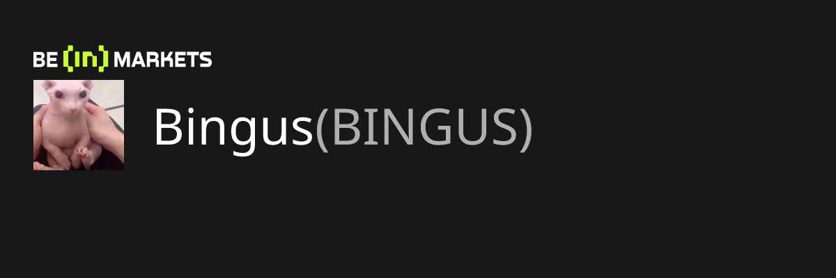 Bingus (BINGUS) información de precios, capitalización de mercado ...