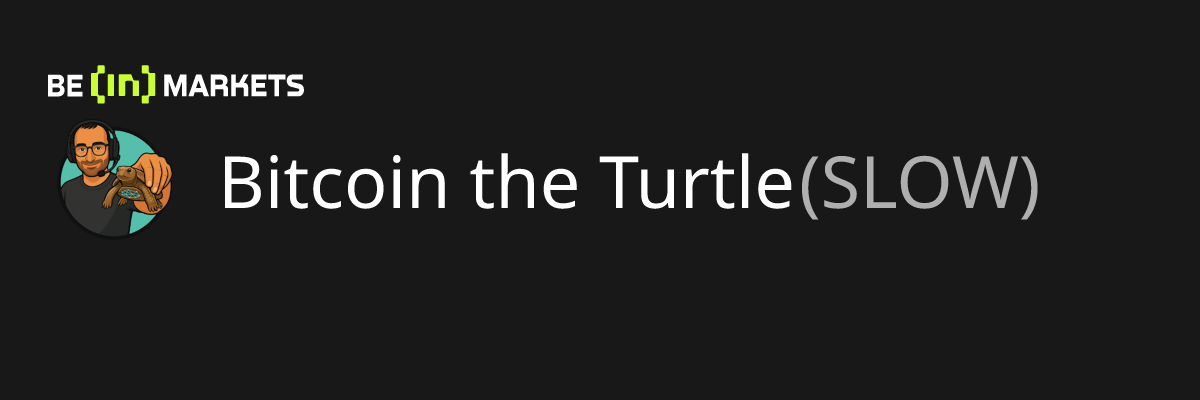 Bitcoin the Turtle (SLOW) السعر ورأس المال السوقي والمخططات البيانية ...