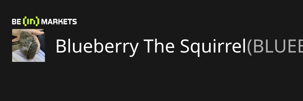 Blueberry The Squirrel (BLUEBERRY) Price, MarketCap, Charts and ...