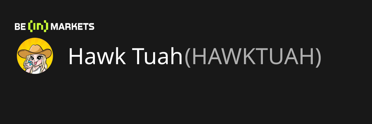 Hawk Tuah (HAWKTUAH) Price, MarketCap, Charts and Fundamentals Info ...