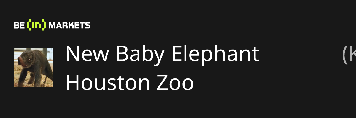 New Baby Elephant Houston Zoo (KIRBY) Price, MarketCap, Charts and ...