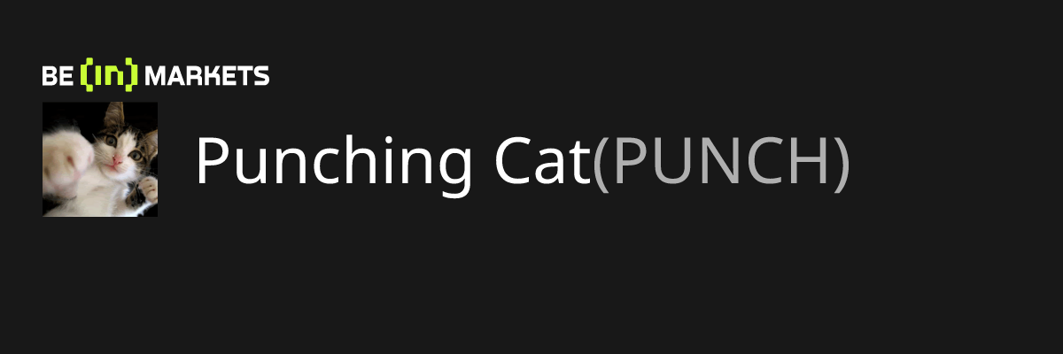 Punching Cat (PUNCH) Price, MarketCap, Charts and Fundamentals Info ...