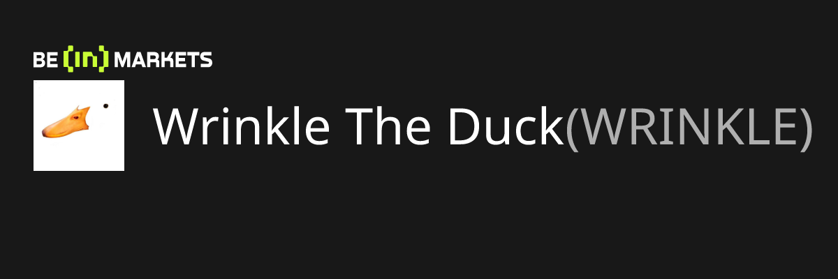 Wrinkle The Duck (WRINKLE) 价格、市值、图表和基本面资讯 - BeInCrypto